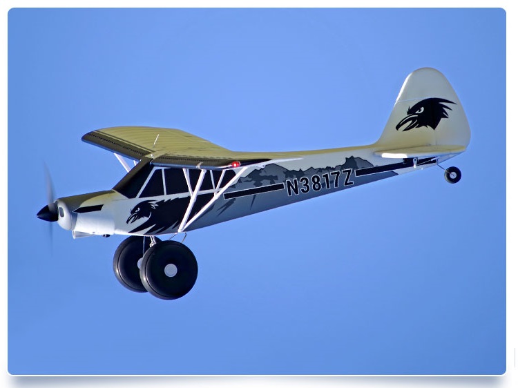 FMS PIPER PA-18 Super Cub 1700mm PNP + Floats + Gyro FMS REFLEX V2 ...