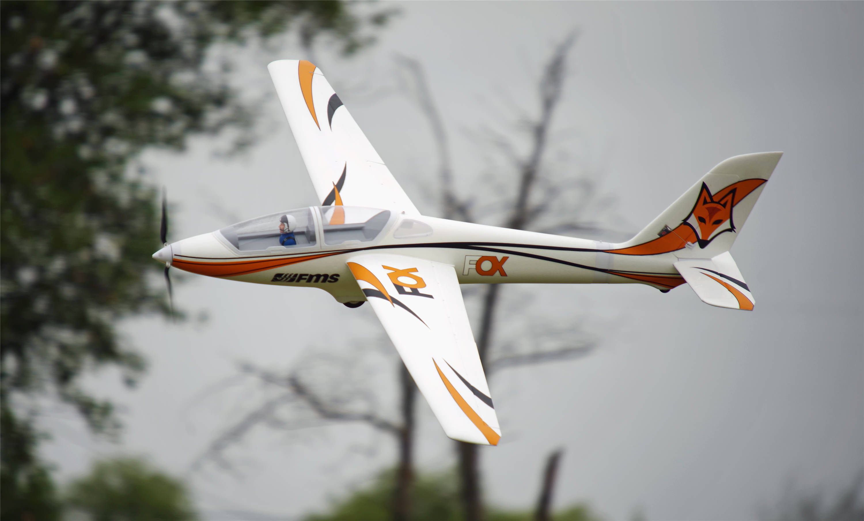 FMS Fox 3000mm Aerobatic EP Glider PNP | RcHubiQ.eu