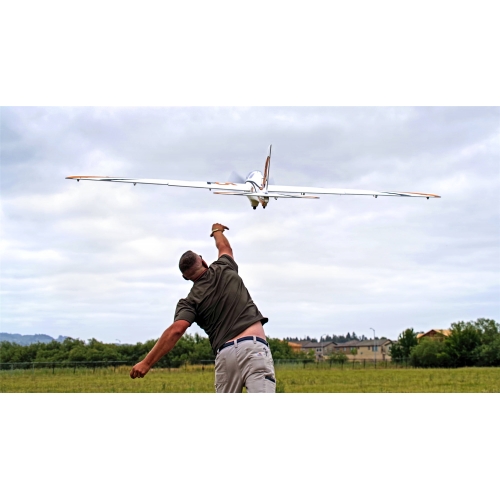 FMS Fox 3000mm Aerobatic EP Glider PNP | RcHubiQ.eu